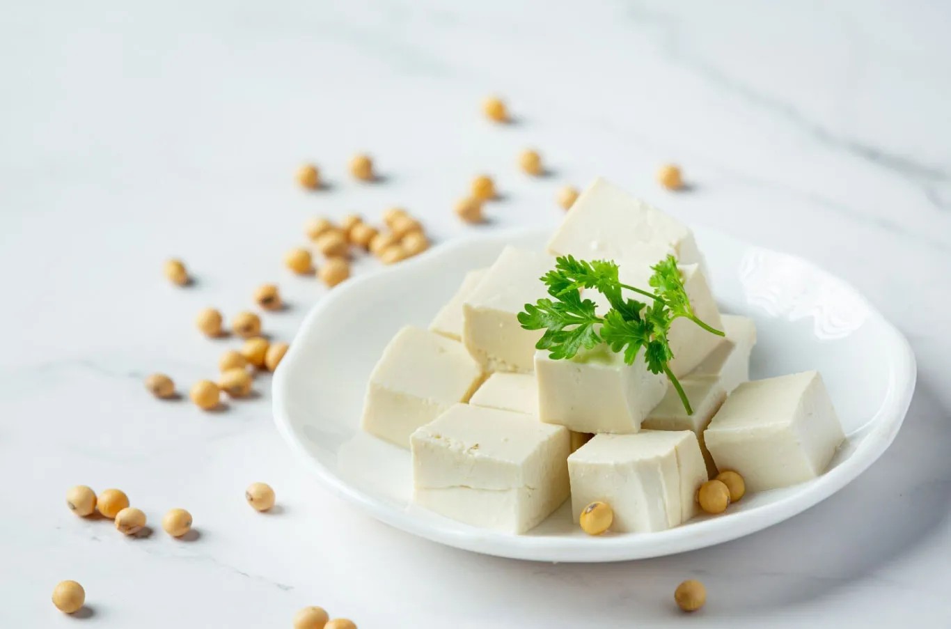 Soymilk Inline Refractometer // Why Has Tofu Lost Its Original Taste ...